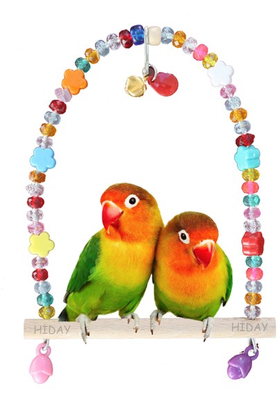 Hiday Papağan Salıncağı Hiday Papağan Salıncağı