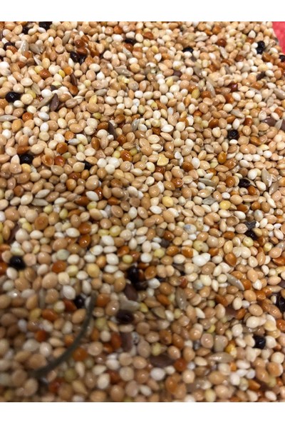 Vivid Kafes Kuşu Yemi 1kg