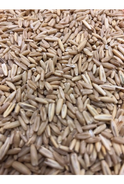 Vivid Kafes Kuşu Soyulmuş Iç Yulaf Yemi 1kg Vivid Kafes Kuşu Soyulmuş Iç Yulaf Yemi 1kg