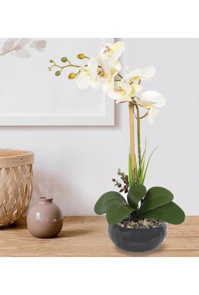Bappay Dekoratif Prizma Saksıda Islak Orkide Yapay
