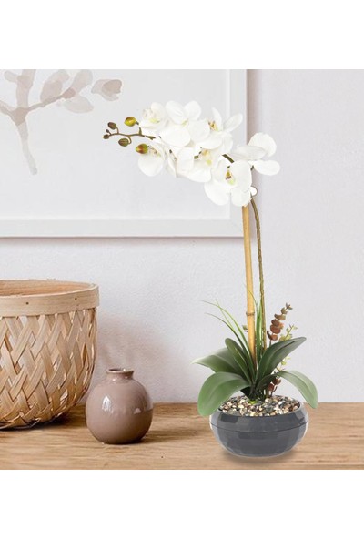 Bappay Dekoratif Prizma Saksıda Islak Orkide Yapay