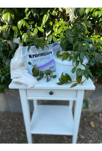 Lascod Aljinat Tozu ile El Ele 3D Heykel Kalıbı Alma Kalıbı (Kovalı)