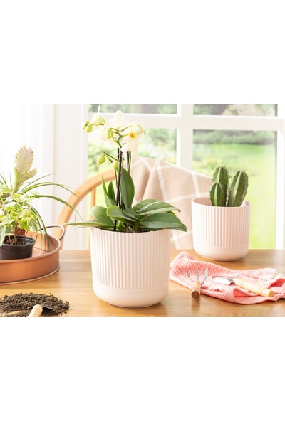 English Home Bloom Plastik Saksı 16X16X15 cm Pudra English Home Bloom Plastik Saksı 16X16X15 cm Pudra