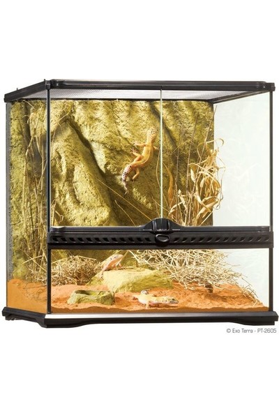 Exo Terra Küçük Geniş Teraryum 45X45X45 cm