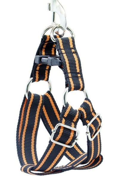Petviya Ayarlanabilir Köpek Göğüs Tasması Siyah Turuncu S Beden Petviya Ayarlanabilir Köpek Göğüs Tasması Siyah Turuncu S Beden
