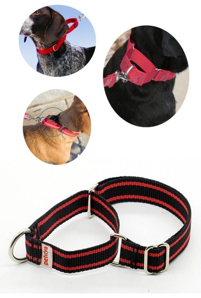 Petviya Martingale Köpek Eğitim Boyun Tasması Medium Siyah Kırmızı Petviya Martingale Köpek Eğitim Boyun Tasması Medium Siyah Kırmızı