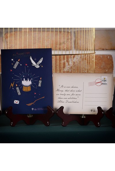 Harry Potter Kartpostal Seti Kuşe Kağıt 4'lü