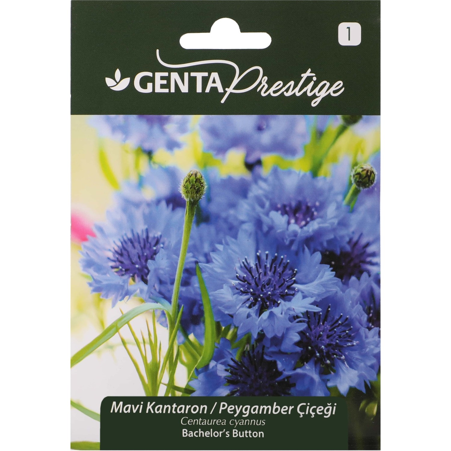 Genta Prestige Çiçek Tohumu Mavi Kantaron Peygamber Çiçeği Fiyatı