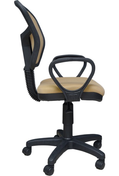 Porziyon Ofis Çalışma Koltuğu Öğrenci Çalışma Sandalyesi