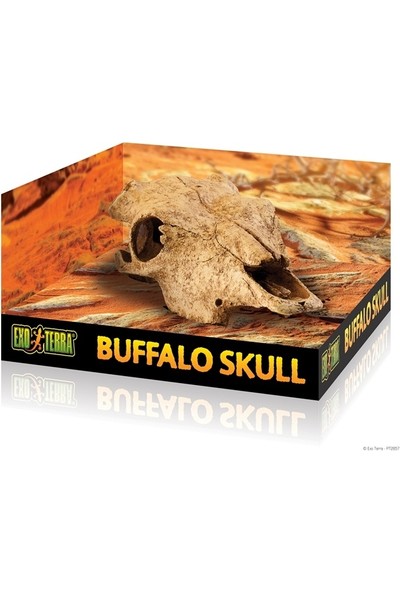 Exo Terra PT2857-EXO Terra Bufalo Kafatası Şekilli Sürüngen Yuvası