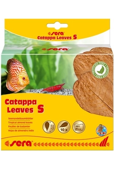 Sera Akvaryumlar Için Catappa Yaprağı S 14 cm (10 Adet) Sera Akvaryumlar Için Catappa Yaprağı S 14 cm (10 Adet)