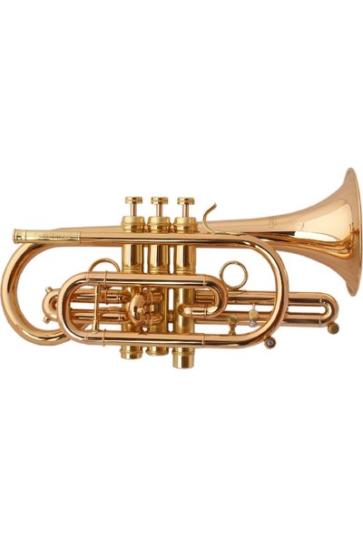Carol Brass Kornet CCR-8880-GSS-BB-L Carol Brass Kornet CCR-8880-GSS-BB-L