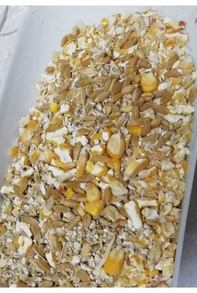 CP 20 kg Doğal Yem Mısır Arpa Kırığı Elenmiş Buğday Karışım Yem Tavuk Güvercin Yemi CP 20 kg Doğal Yem Mısır Arpa Kırığı Elenmiş Buğday Karışım Yem Tavuk Güvercin Yemi