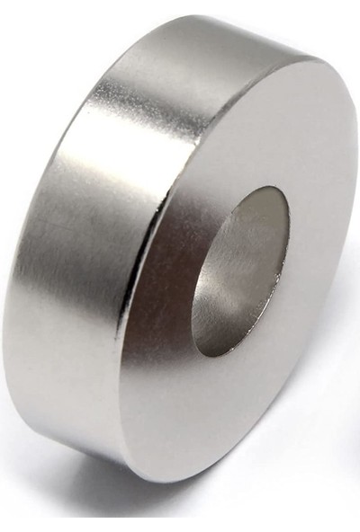 Magneteksan Ø30MM Neodimyum Halka Mıknatıs