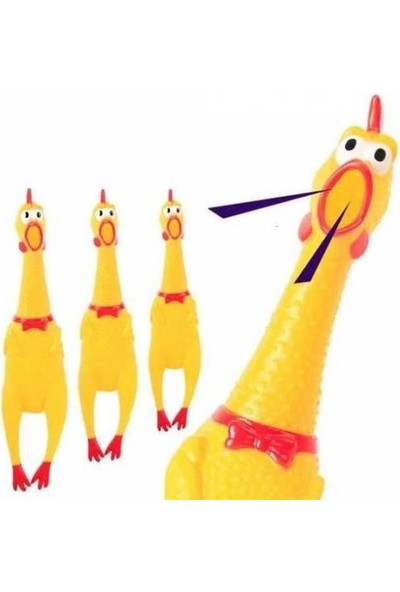 Pet Style Öten Tavuk Köpek Oyuncağı 30 cm