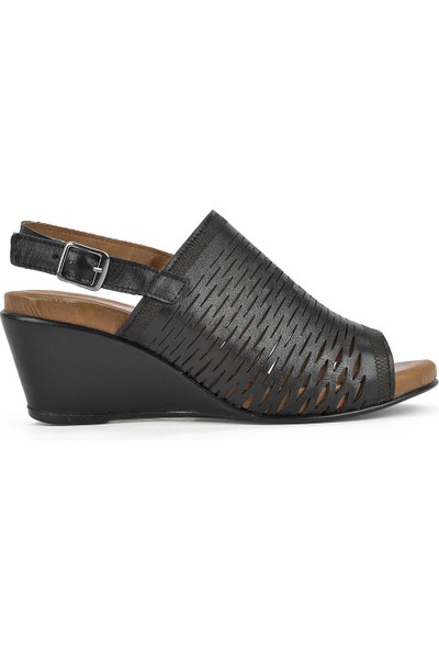 Ziya Deri Kadın Sandalet 11176 7017 Siyah Ziya Deri Kadın Sandalet 11176 7017 Siyah