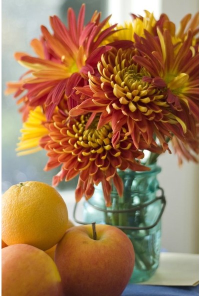 Nandina Botanik 3 Adet Yıldız Çiçeği Soğanı ( Dahlıa Yumrusu) Turuncu Sarı Nandina Botanik 3 Adet Yıldız Çiçeği Soğanı ( Dahlıa Yumrusu) Turuncu Sarı