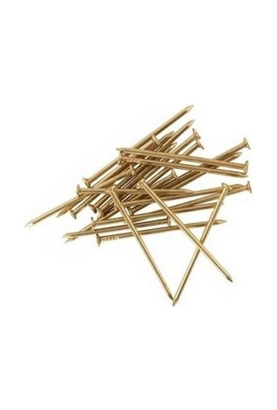 Pars Başlı Tel Çivi 5 cm (1 Kg)