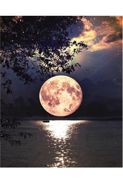 Hapy Hoby Dolunay Sayılarla Boyama Seti 40 x 50 cm