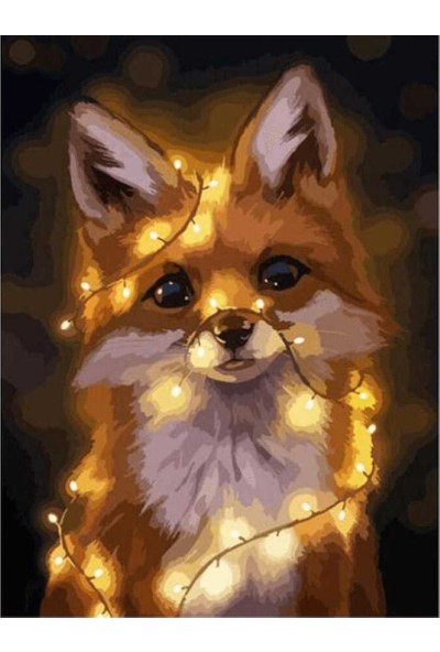Hapy Hoby LED Işıklı Tilki Sayılarla Boyama Seti 40 x 50 cm