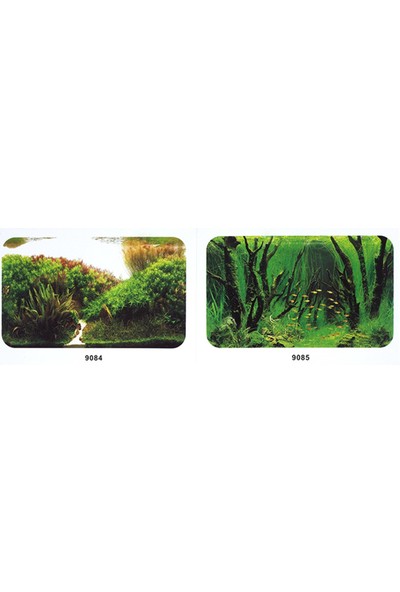 Chicos 30 cm Bitki-Bitki 9084/9085 Plastik Poster Chicos 30 cm Bitki-Bitki 9084/9085 Plastik Poster