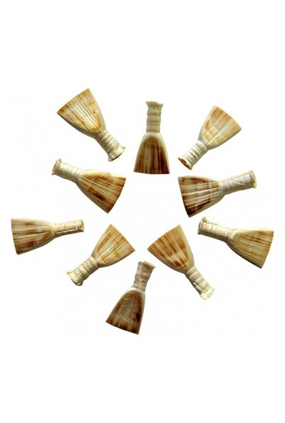 SAZ ZK10 Zurna Kamışı 10 Adet