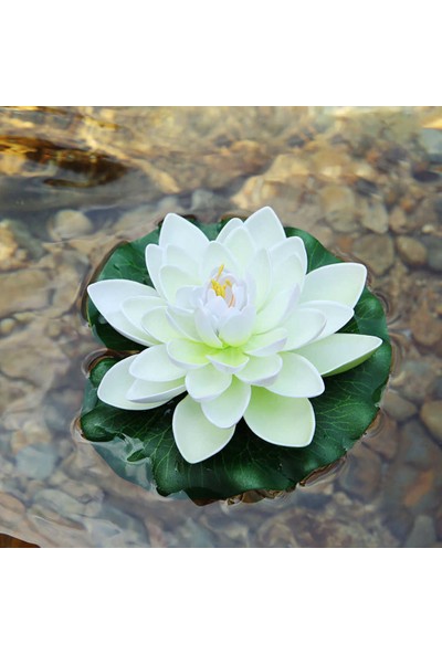 Lobelya Tohumculuk Beyaz Renkli Lotus Çiçeği Tohumu 5'li