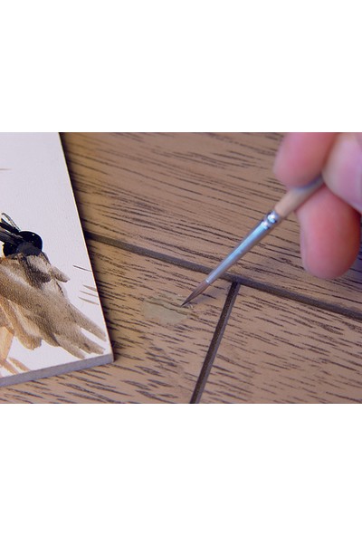 CLOU Kementaş Rötuş Boya Seti (12 Renk Rötuş Boyası)