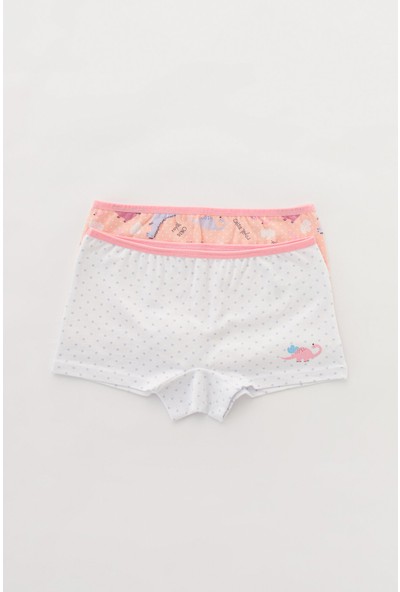 Penti Çok Renkli Kız Çocuk Dino 2li Boxer