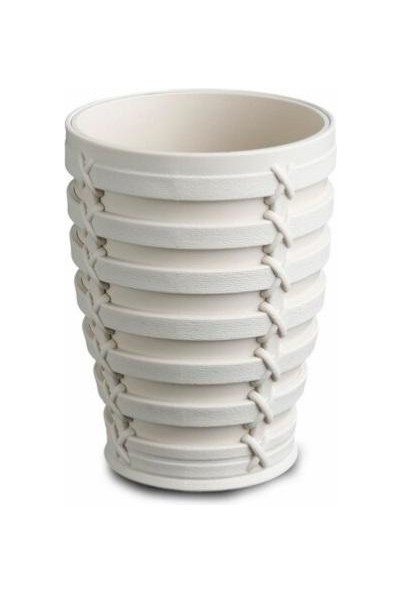 Primanova Palm Diş Fırçalık Bej