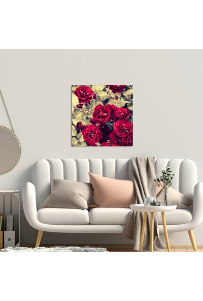 Mrv Dekor Kırmızı Gül Cam Tablo Temperli Cam