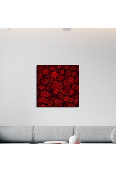 Mrv Dekor Kırmızı Güller Cam Tablo Temperli Cam