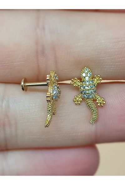 Takıconcept Kadın Gold Rengi Kertenkele Tragus Helix Piercing