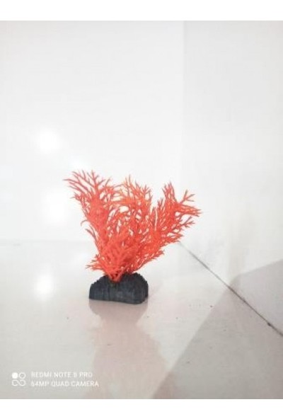 Canlı Petshop Çam Plastik Bitki Kırmızı 8 cm Canlı Petshop Çam Plastik Bitki Kırmızı 8 cm
