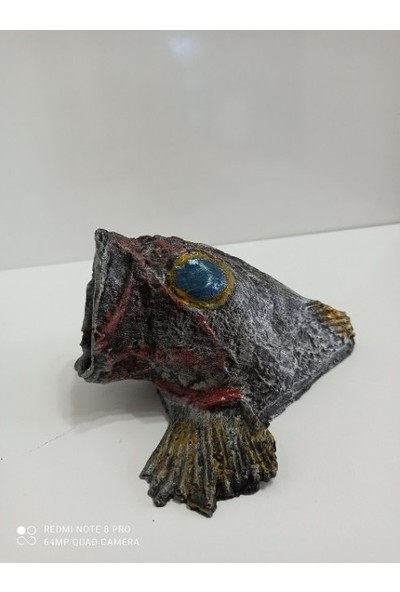 Canlı Petshop Ağzı Açık Balık Akvaryum Dekoru Canlı Petshop Ağzı Açık Balık Akvaryum Dekoru