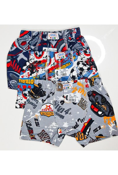 Gümüş İç Giyim Araba Desenli Erkek Çocuk 3'lü Boxer