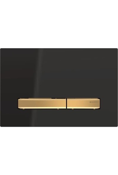 Geberit SIGMA50 Kumanda Paneli, Çift Basmalı (Pirinç Basma Buton), Siyah - 115.672.DW.2 Geberit SIGMA50 Kumanda Paneli, Çift Basmalı (Pirinç Basma Buton), Siyah - 115.672.DW.2