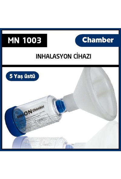 Mınıon Chamber Large Mınıon Chamber Large