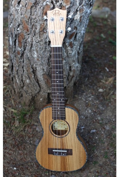 Puka Pk-4 Zebra Ağacı Sedefli Ince Kasa Concert Ukulele Puka Pk-4 Zebra Ağacı Sedefli Ince Kasa Concert Ukulele