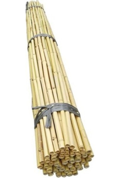 Fidan Destek Çubuğu Kamış 180-190CM Boy 10 Adet Fidan Destek Çubuğu Kamış 180-190CM Boy 10 Adet