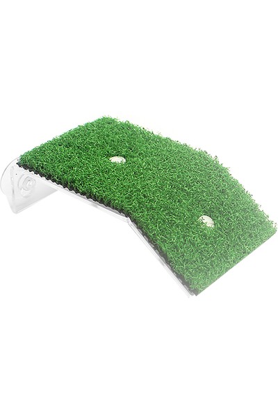 Gahome Kaplumbağa Rampası (Yurt Dışından)