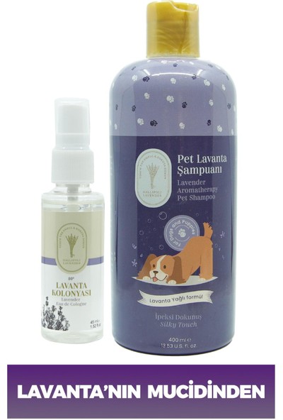 Dr. Lavender Kene Pire Önleyici Köpek Şampuanı 400 ml Pet Şampuanı + 45 ml Lavanta Konolyası
