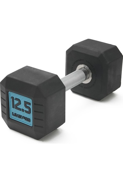 Livepro LP8004 12,5 kg Premium Dambıl