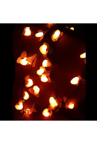 Alayımbari 3.5 Metre Kırmızı Kalp Led Işık