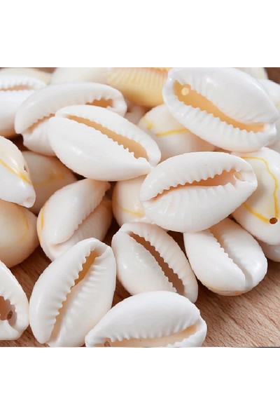 Subu Takı 24 Adet Deniz Kabuğu Gerçek Deniz Kabuğu Boncuk 16-18 mm Subu Takı 24 Adet Deniz Kabuğu Gerçek Deniz Kabuğu Boncuk 16-18 mm