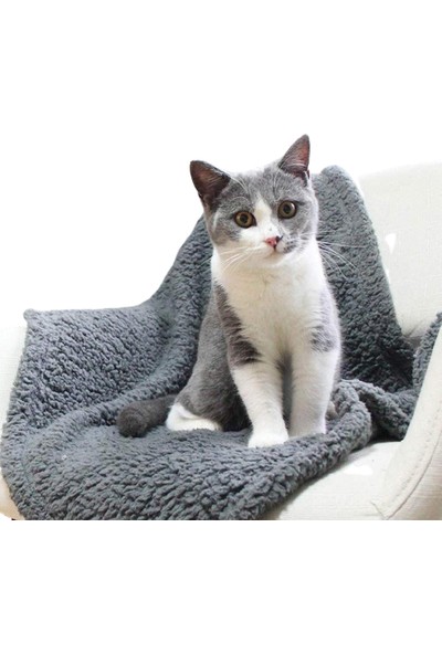 Petwinn Peluş Kedi Köpek Battaniyesi 60 x 80 cm Gri