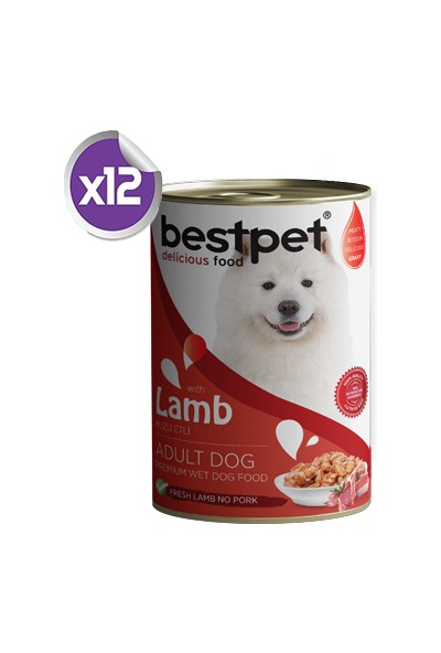 Bestpet Kuzulu Konserve Yetişkin Köpek Maması 12 x 400 gr Bestpet Kuzulu Konserve Yetişkin Köpek Maması 12 x 400 gr