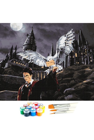 Carpuz Kasnaklı Harry Potter Sayılarla Boyama Tablo Seti 40 x 50 cm