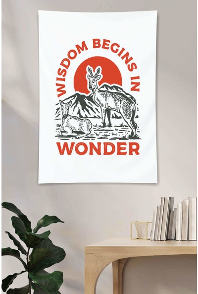 Pikself Wonder Duvar Örtüsü (40 x 60 Cm)