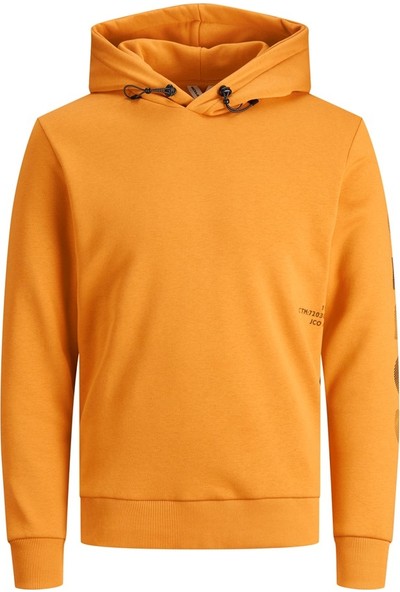 Jack & Jones Erkek Kapşonlu Sweatshirt 12192879